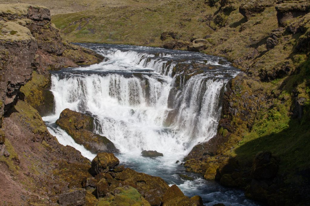 Lög um fiskeldi, áhættumatið og erfðablöndun á villtum laxi - Lagareldi.is
